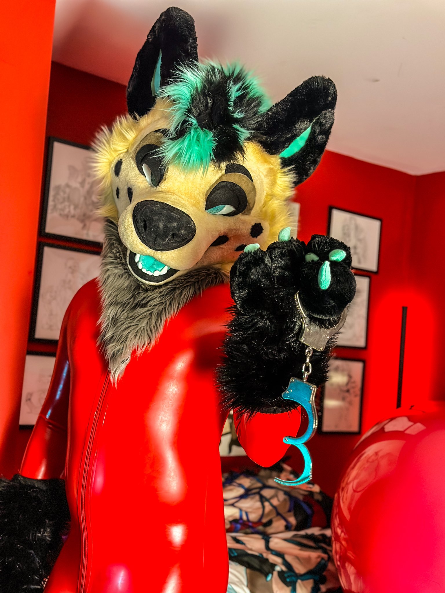 Derecho Hyena on Twitter: "One of us is going to be wearing these by the end of the night. Who’s ...