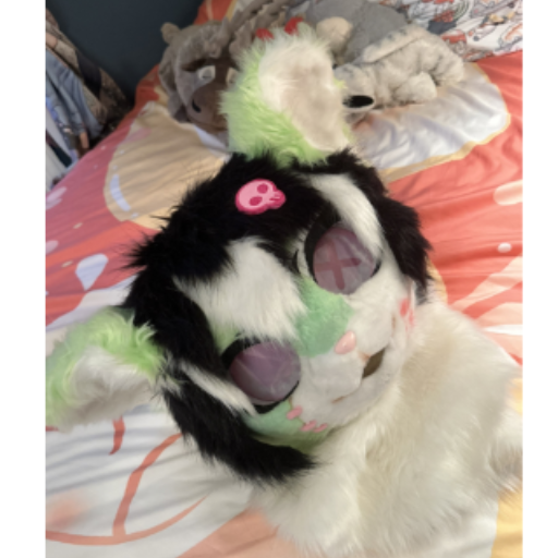 Fursuit Review on Twitter: "New #fursuit review: [OK] Cat Fursuit Head by Zohar Read it here ...