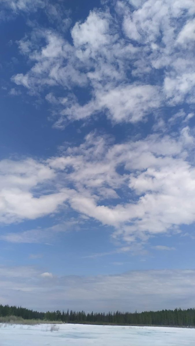 Khadaa On Twitter Хөвсгөл аймаг Улаан Уул сум Мунгаш голын зун