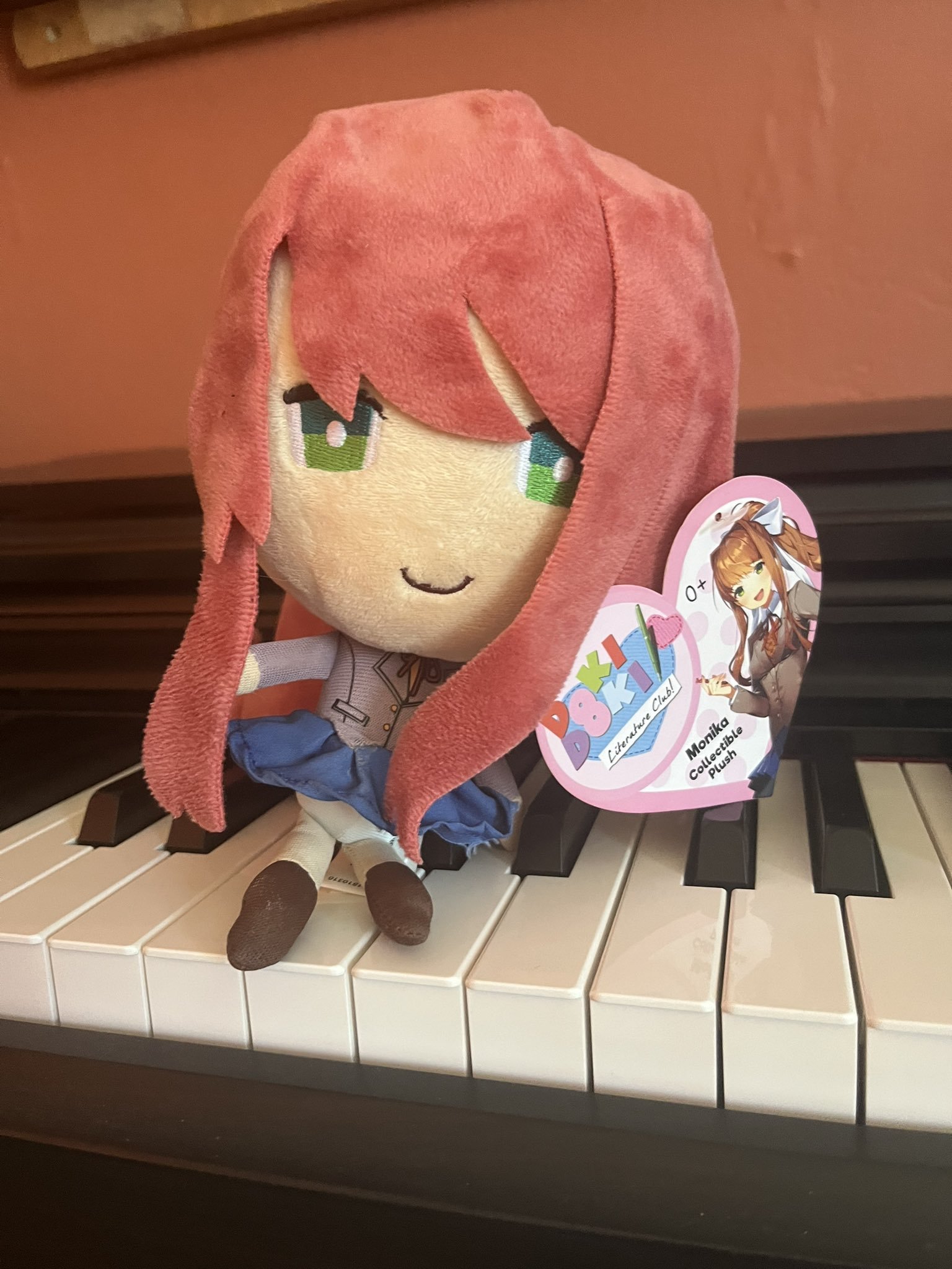 Daily DDLC plushies on Twitter: "Day 227 #DokiDokiLiteratureClub #Monika https://t.co/jdq3yZv25r ...
