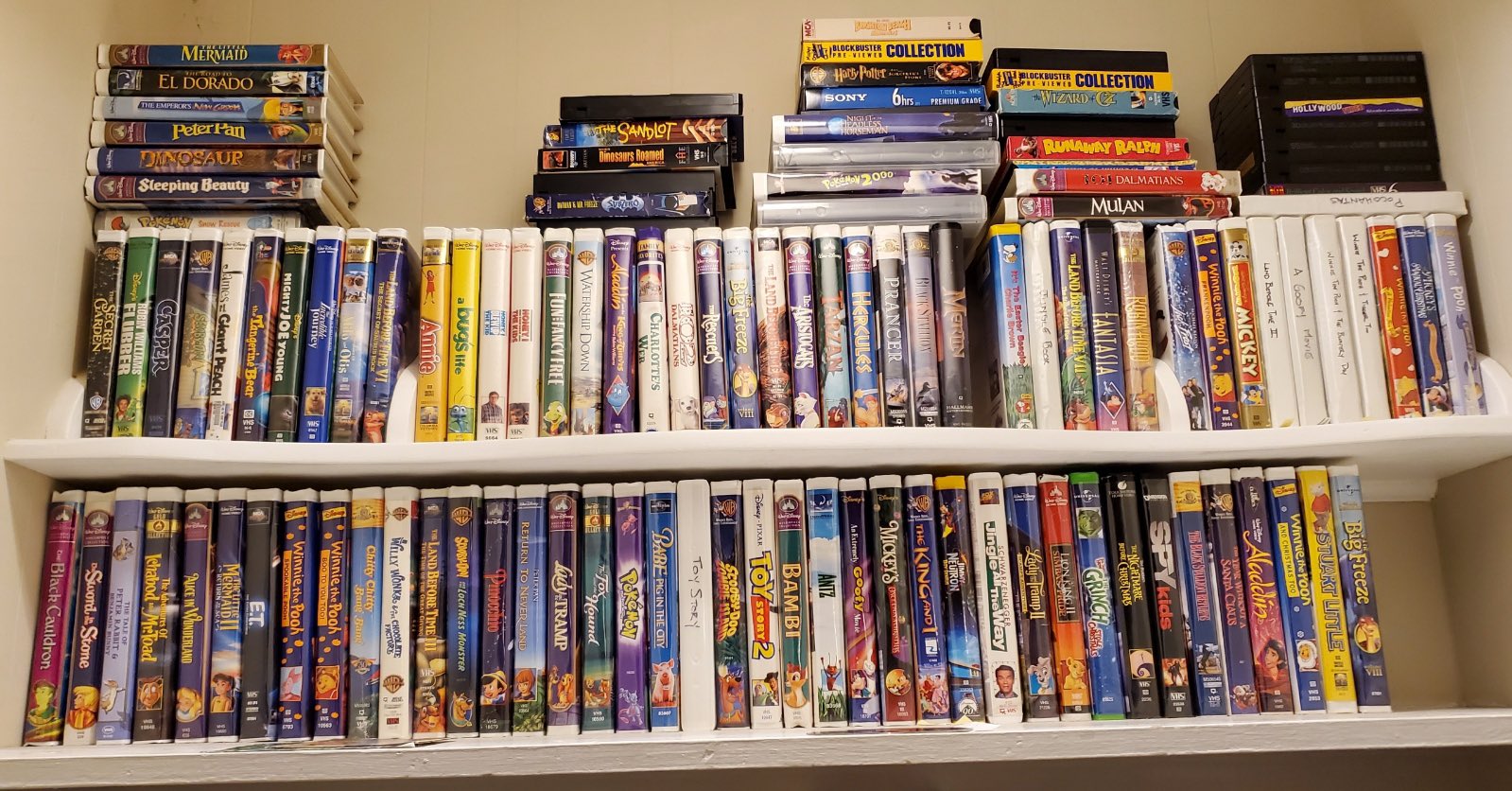 chase, river-daughter 🔜 SCGBALT on Twitter: "My mom has called me to help me sort through our ...