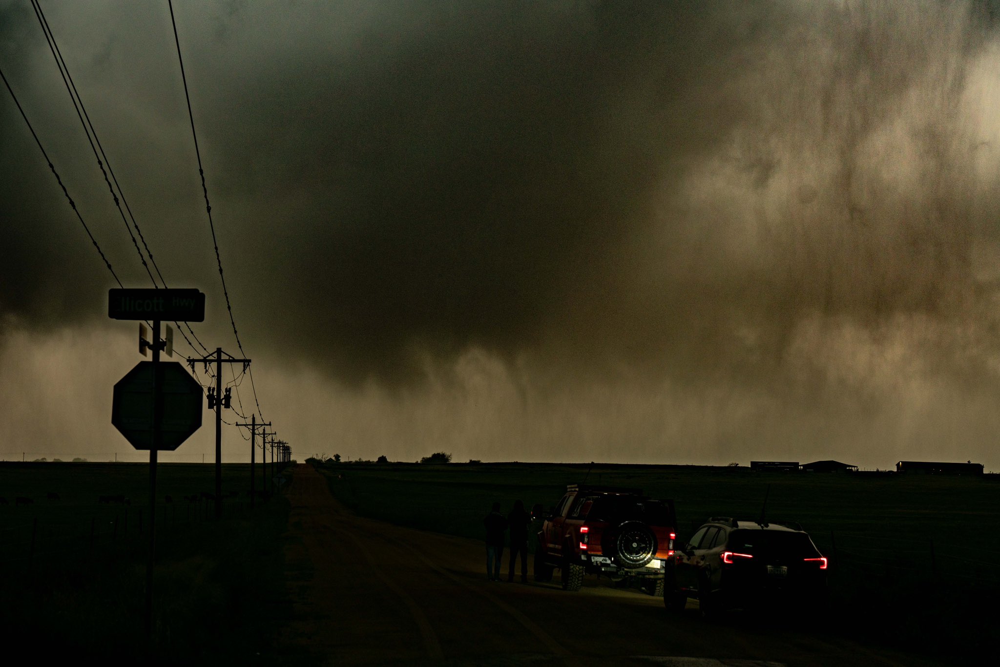 Rob Hoff 🏔🌌🦜💨 on Twitter: "Did someone order some over contrasty hyper sharpened bird fart ...