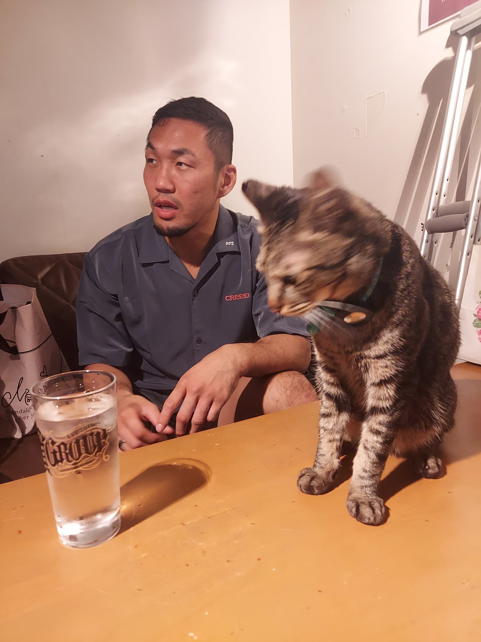 Z李 🇺🇦 NO WAR 🕊 on Twitter: "9SARI CAFEに佐藤天選手 @satotenten が来てて、キューちゃんと一緒に写真撮りたかったけどキューちゃん静止してくれ ...