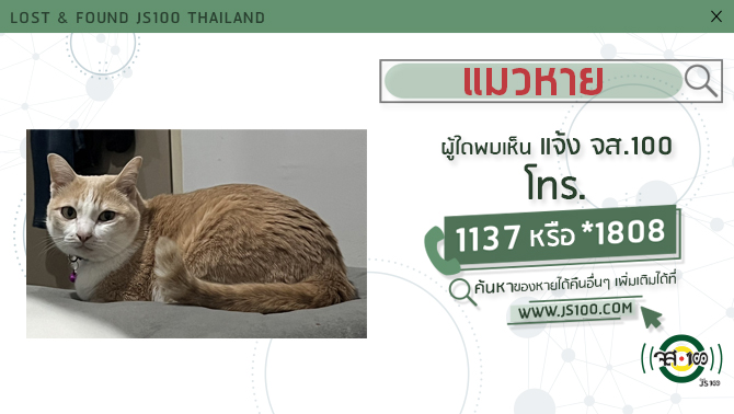 JS100Radio on Twitter: "แมวหายจากบริเวณบ้านพักข้าราชการเรือนจำกลาง ถ.โภชนา ต.ช้างเผือก อ.เมือง ...