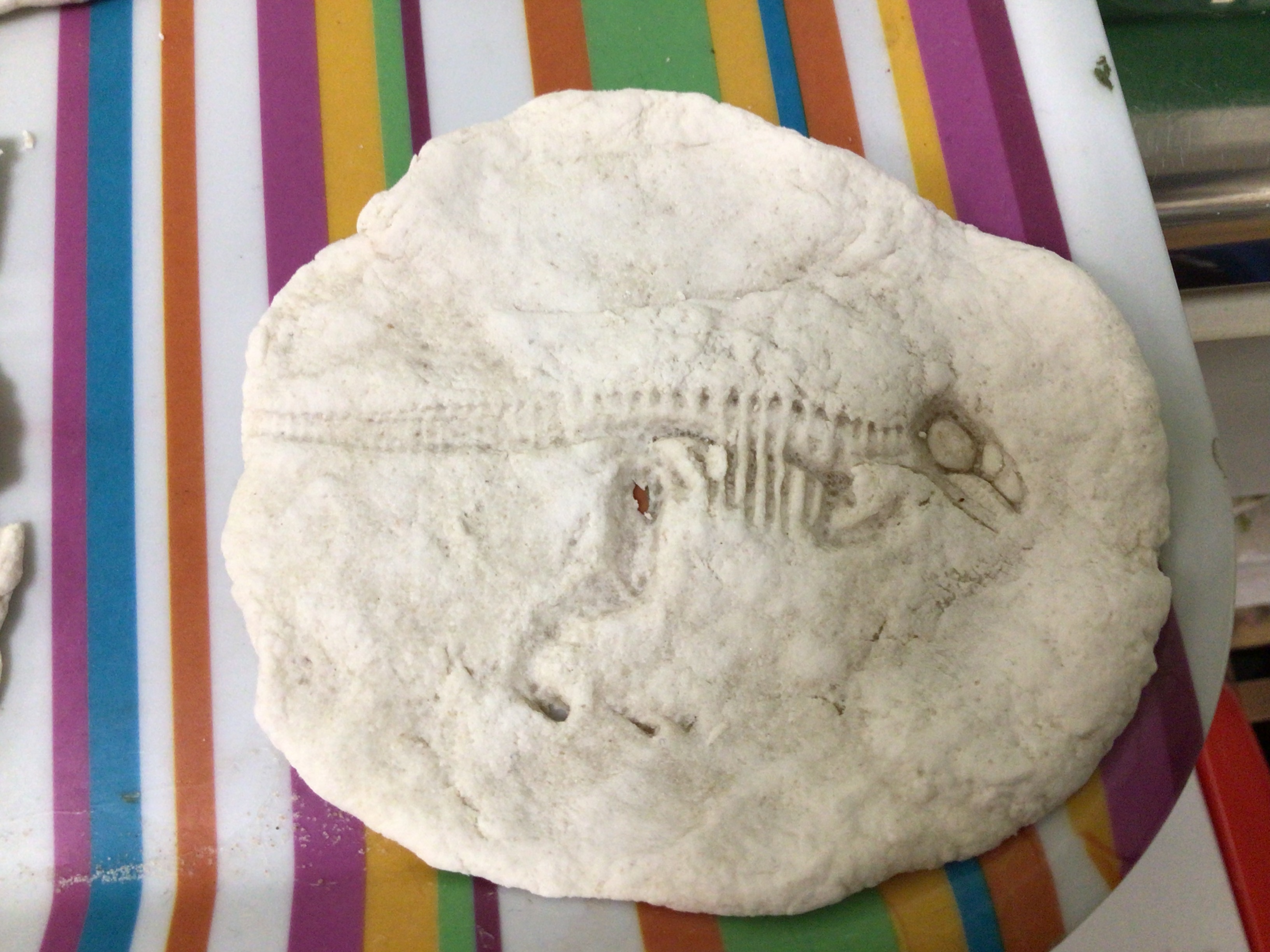 Byron Primary School on Twitter: "This week in Reception we have been ...