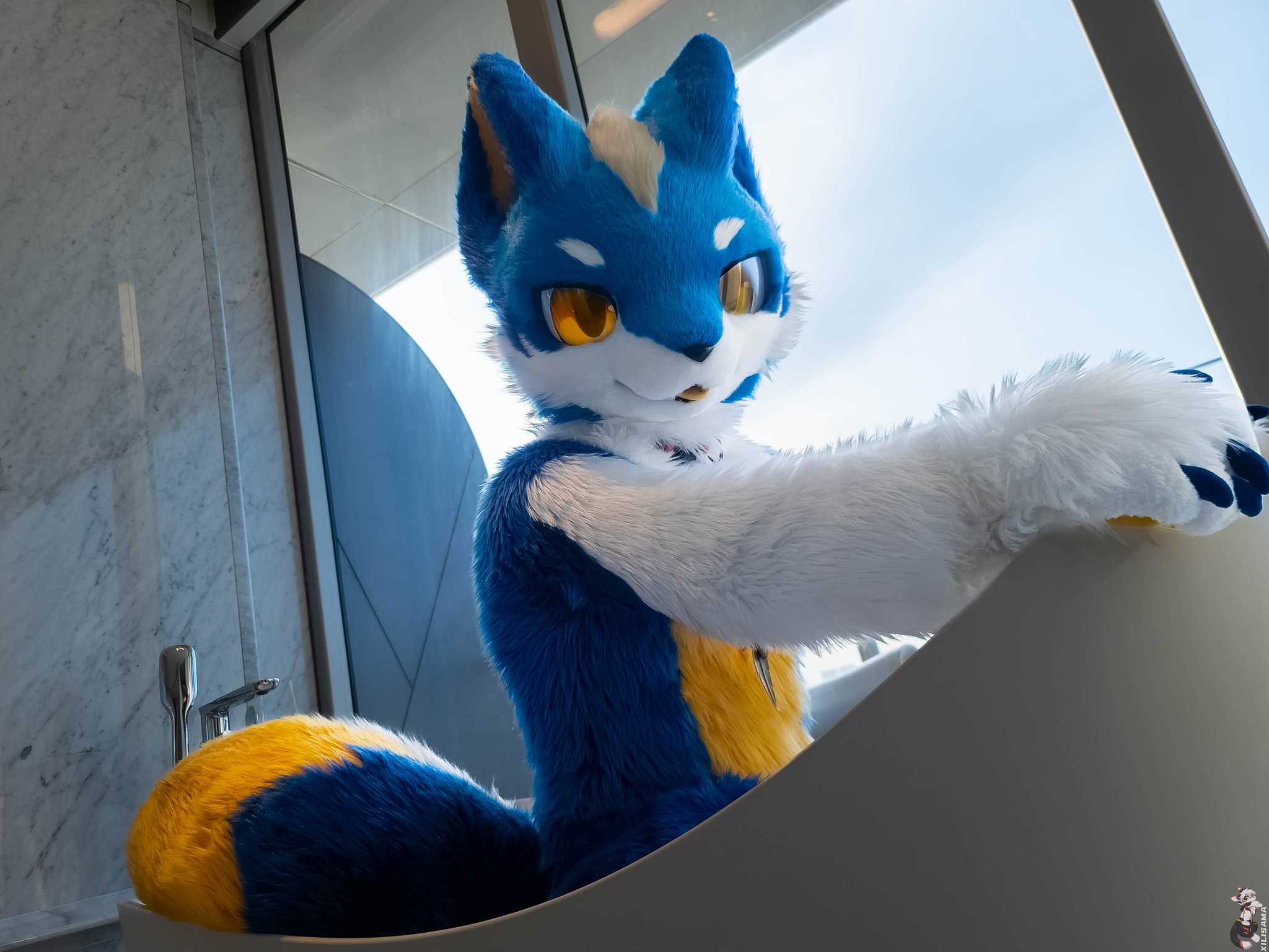 🇨🇳雪风&光电 on Twitter: "#FursuitFriday hi~ https://t.co/sSJ3SaJhsf" / Twitter