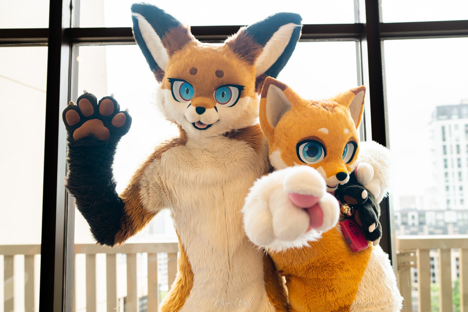 Niff 🔜 AC on Twitter: "Another pic with @ShibaPikapetey from FWA2023 📸 @KibaRinWolf # ...