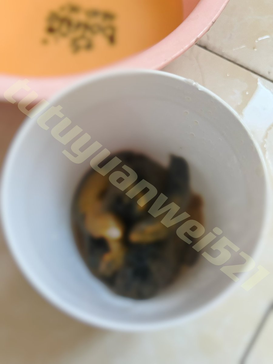 兔兔原味袜 On Twitter 傻逼马桶喜欢吃吗? 原味 原味圣水 原味零食 圣水奴 圣水调教 圣水黄金 黄金面包 厕奴 贱狗调教 女s