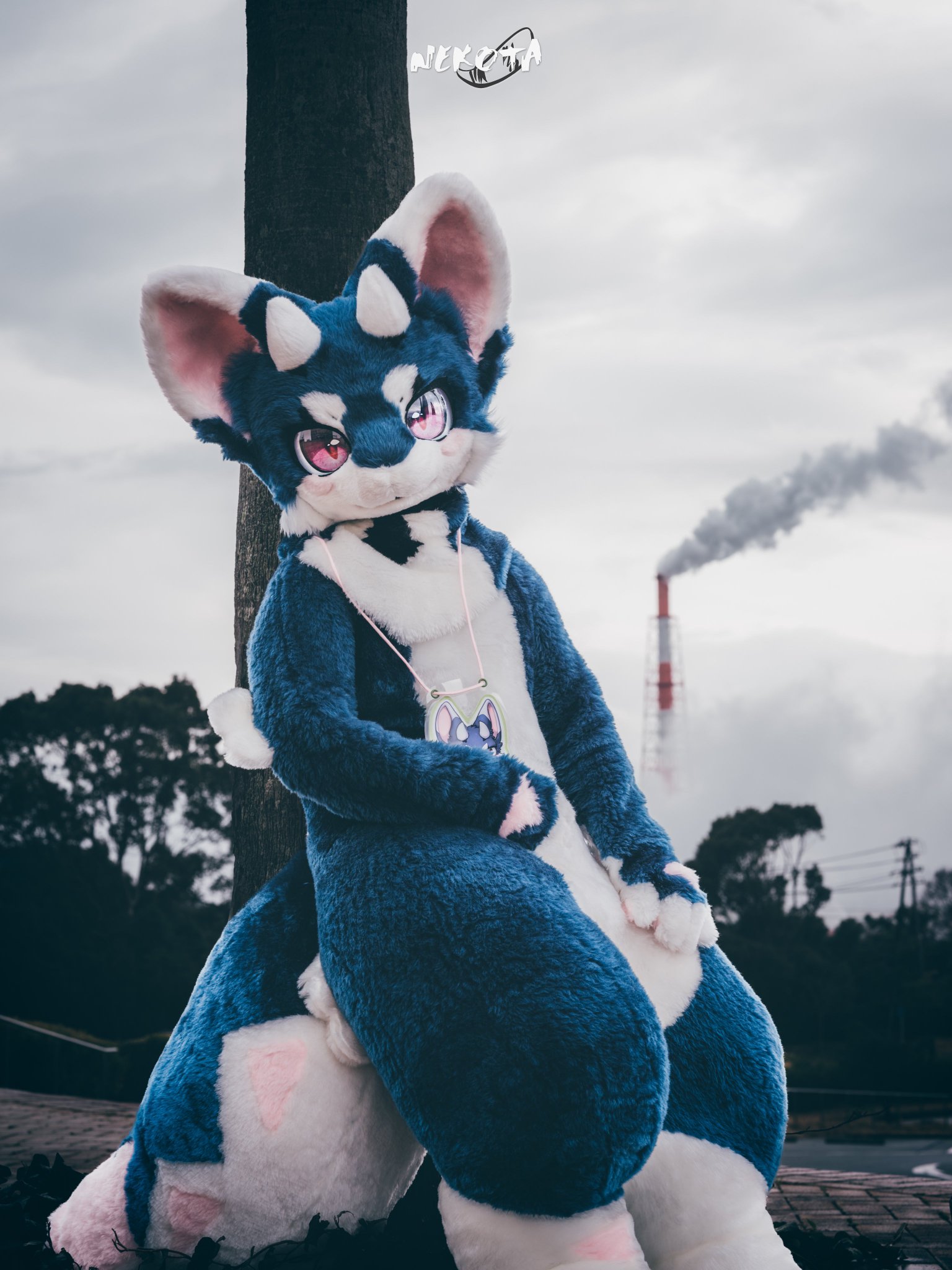 梓夏🐾Tsuha🐾ツハ💞🔰蒼羽🔰💞 on Twitter: "“你，来了啊。” #FursuitFriday #もふよん https://t.co/xJXsXqwQ73" / Twitter