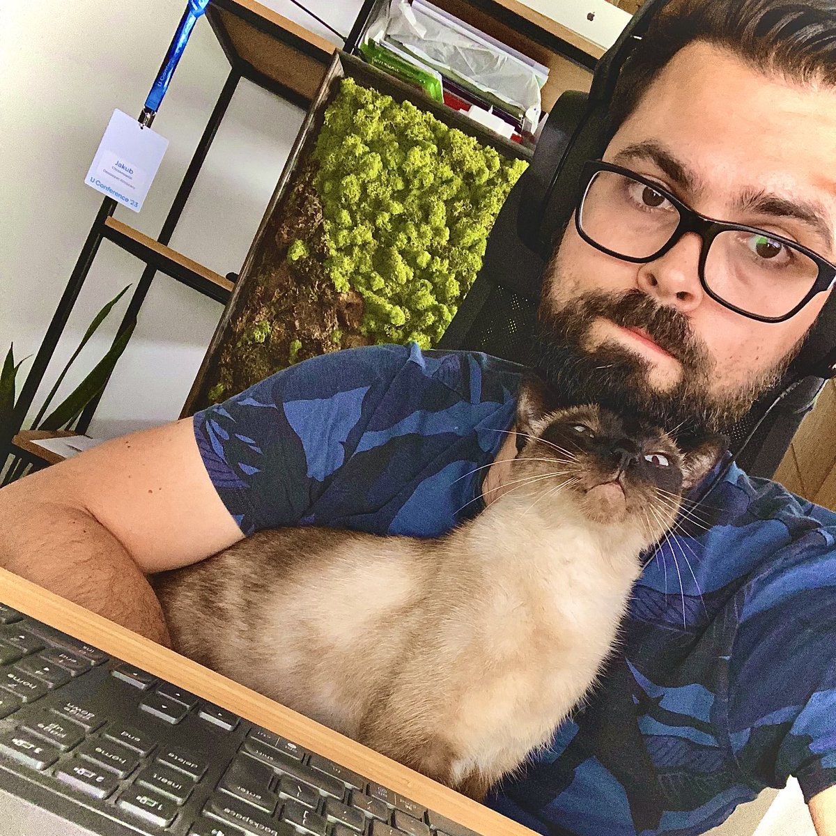 Jakub Chrzanowski on Twitter: "purr request"