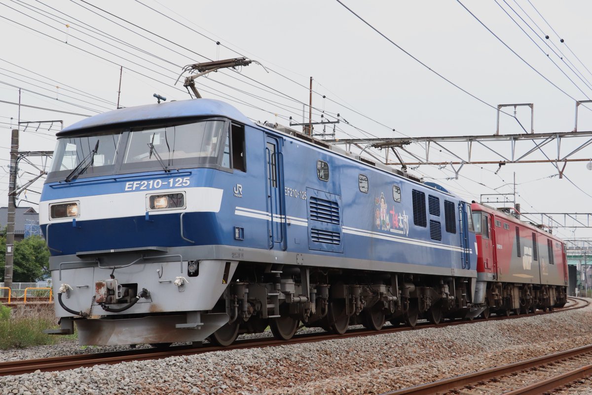 SS-20💮🎙️ on Twitter: "2023/6/23 75レ EF210-105+コキ24車 単8283レ EF210-125+EH500-34(ﾑﾄﾞ)(大宮入場) 単8590レ ...