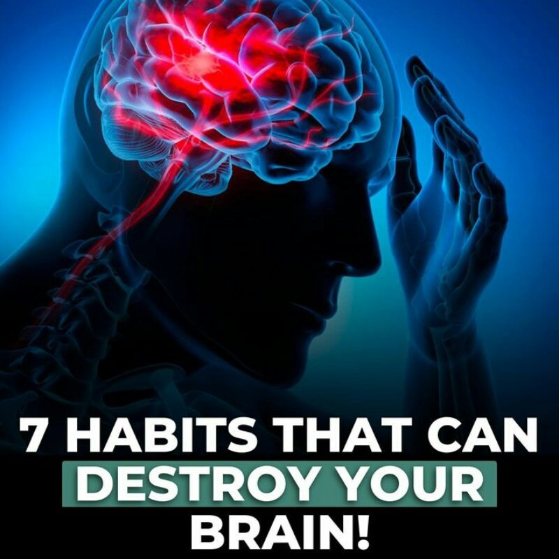 Eminent_minds on Twitter: "7 HABITS THAT DESTROY YOUR BRAIN https://t.co/TFi56b5fV6" / Twitter