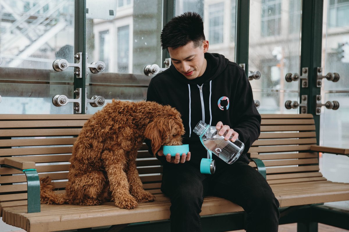 GitHub on Twitter: "Keep your furry coding sidekick fueled with our awesome (or should that be ...