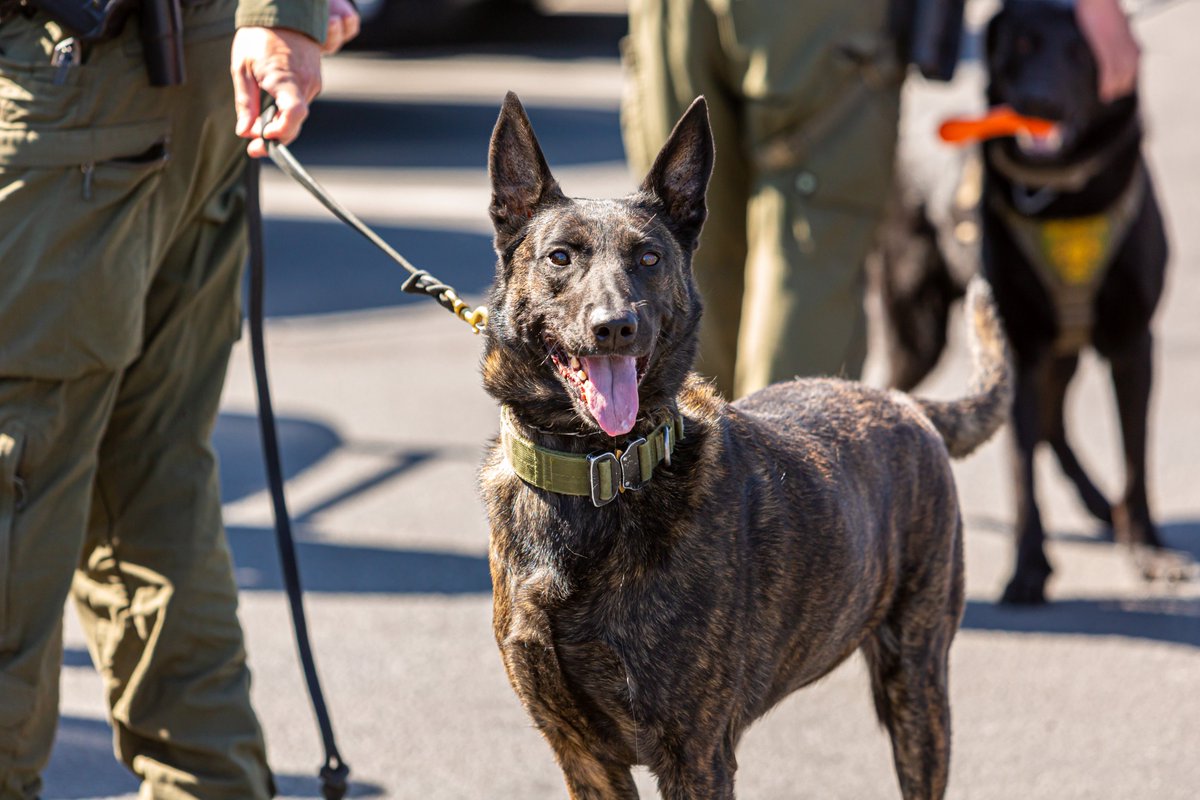 Washoe Sheriff on Twitter: Washoe Sheriff on Twitter: