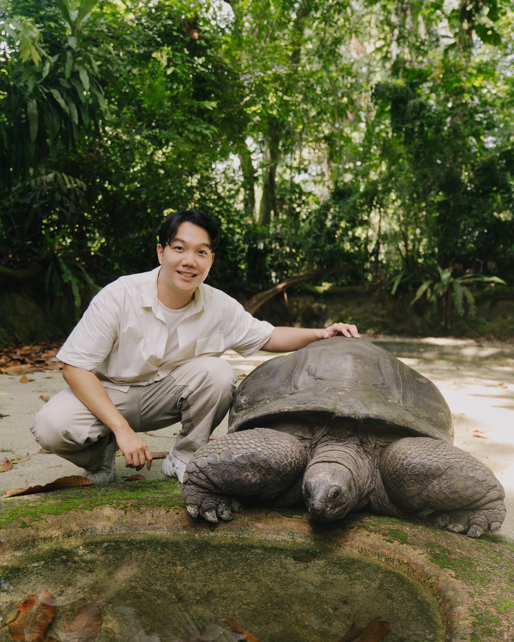 HASHCORNER on Twitter: "นี่เต่าจริง ไม่ใช่หุ่นรูปปั้น 🥹 น้องคือเต่าอัลดาบร้า เป็นเต่ายักษ์ที่ ...