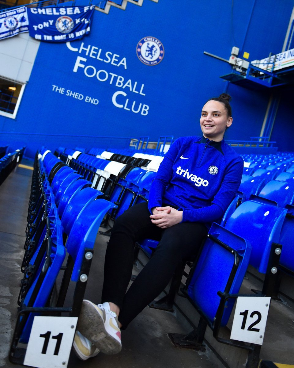 mamdouh hamid on Twitter: "Chelsea Incomings This Summer : Announced : Nicky Evrard Sjoeke ...