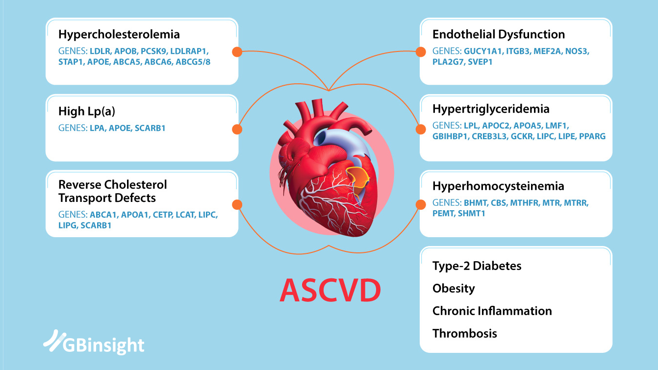 GBinsight Genetic Analysis on Twitter: "📊 Discover the power of precision medicine with the ...