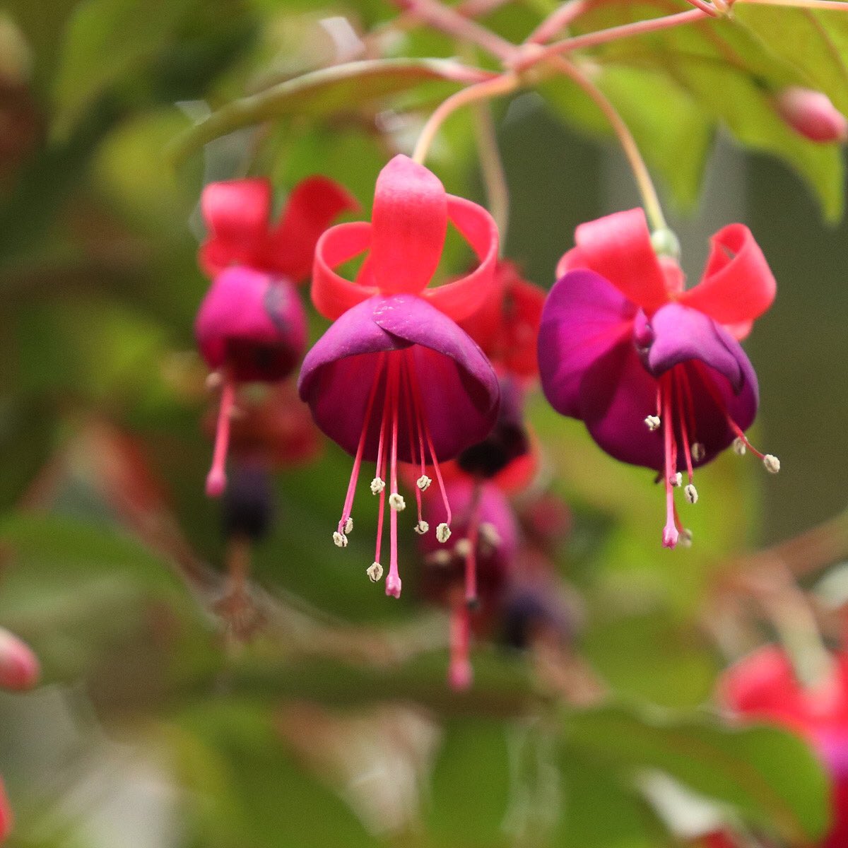 神戸どうぶつ王国(@kobe_doubutsu) - Twilog