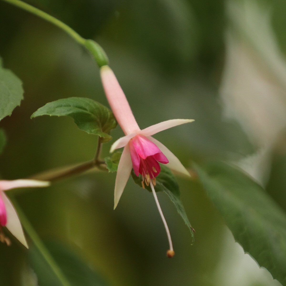 神戸どうぶつ王国(@kobe_doubutsu) - Twilog