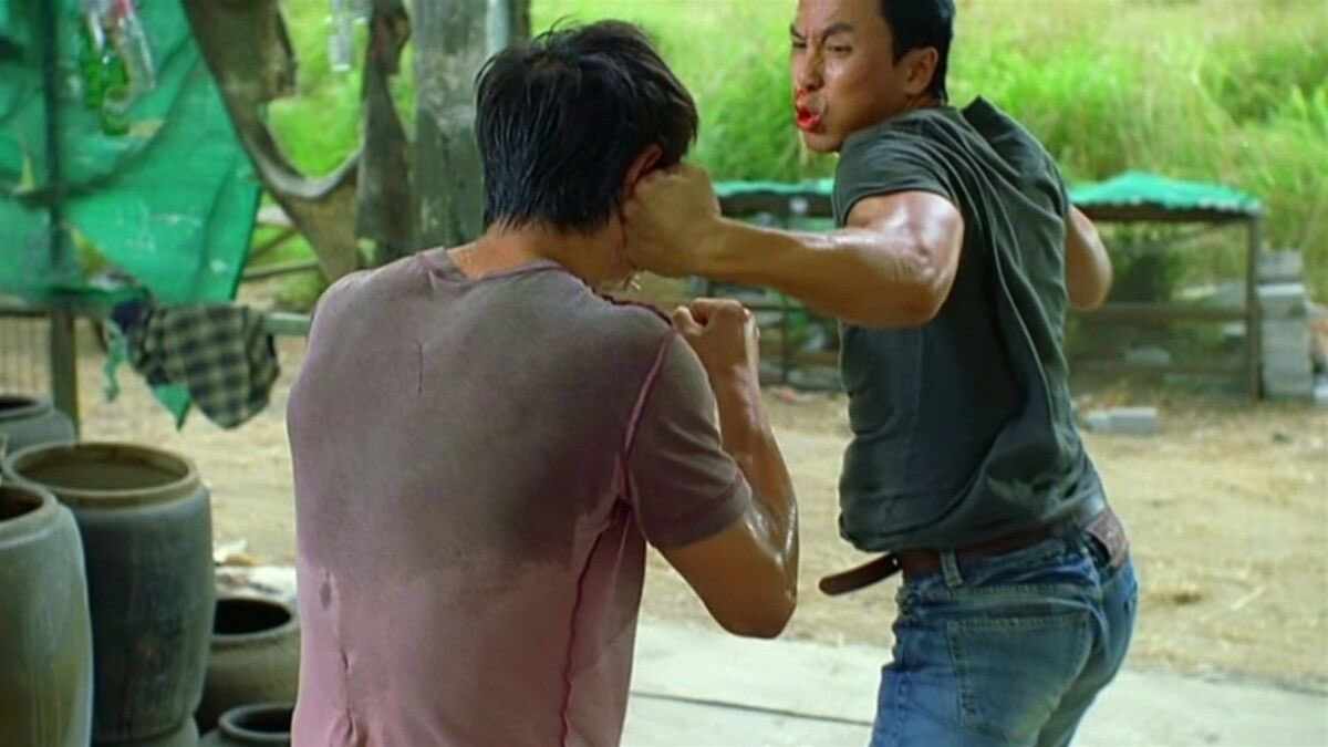 JB🇻🇮 | Engine of Chaos on Twitter: "Day 279: Flash Point (2007) Directed by: Wilson Yip Written ...