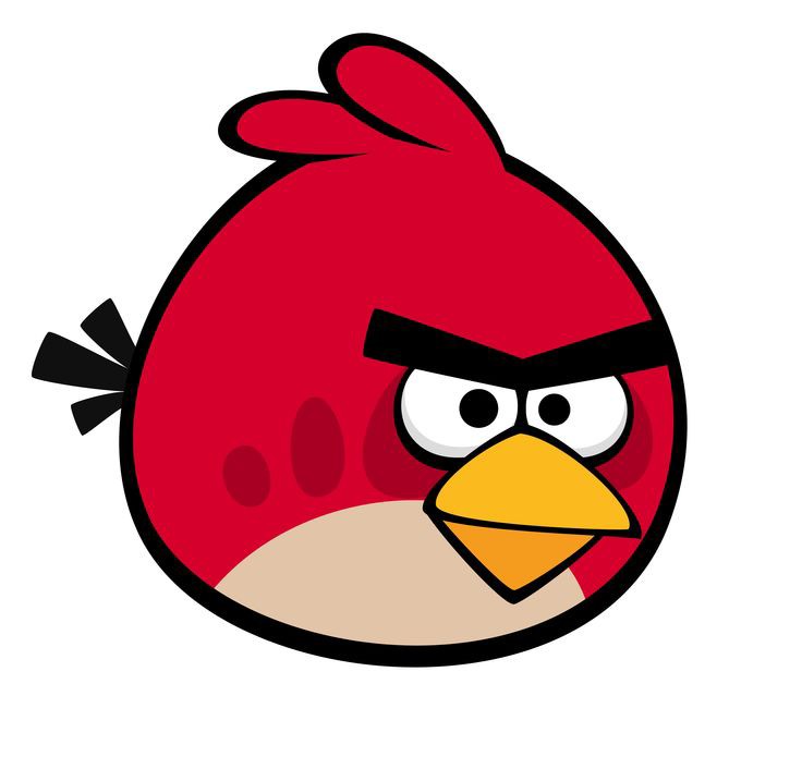 Burung Angry Bird Dalam Dunia Nyata