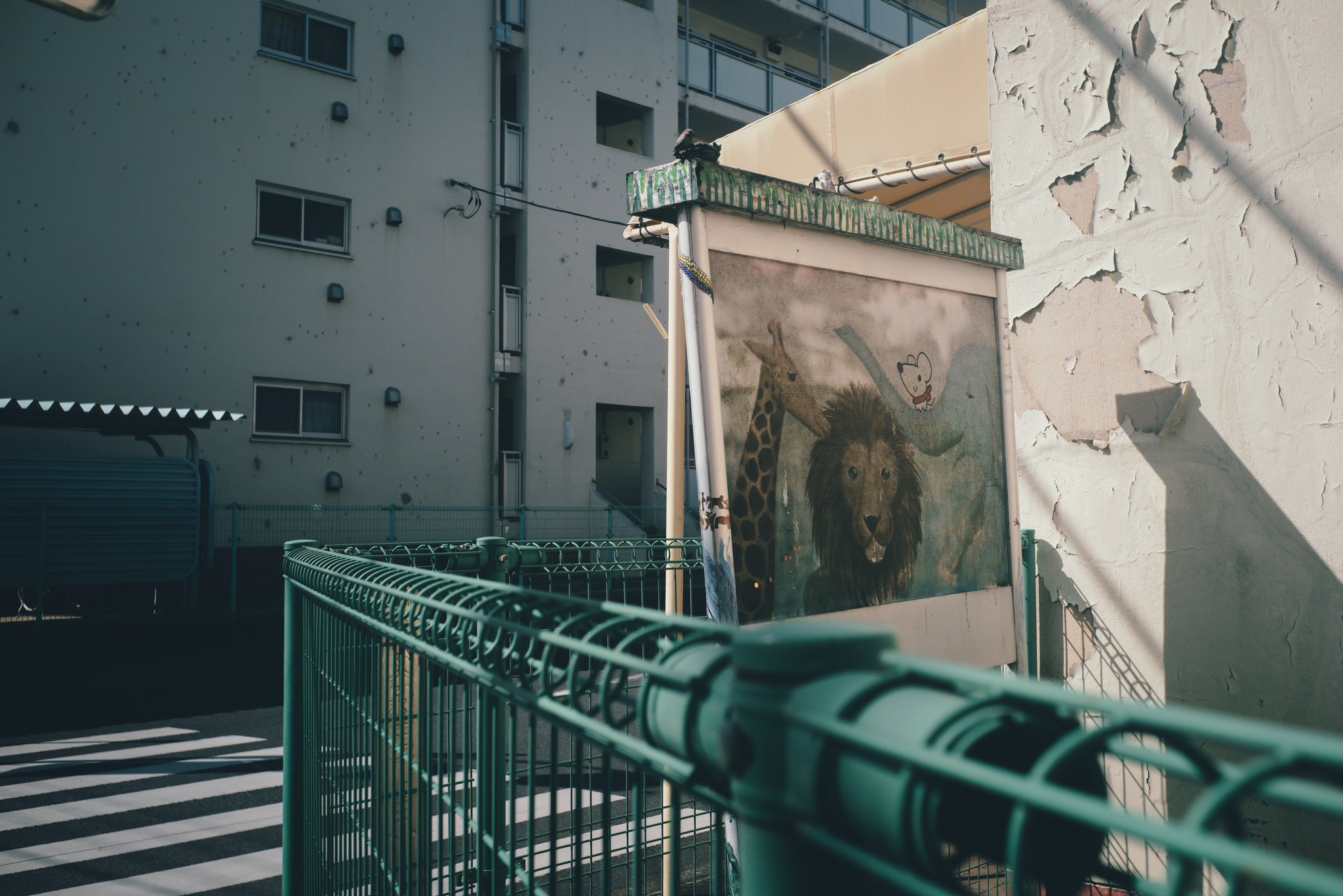 Hiro. on Twitter: "日常 / Leica🚶‍♂️ https://t.co/tBj6gjJxFr" / Twitter