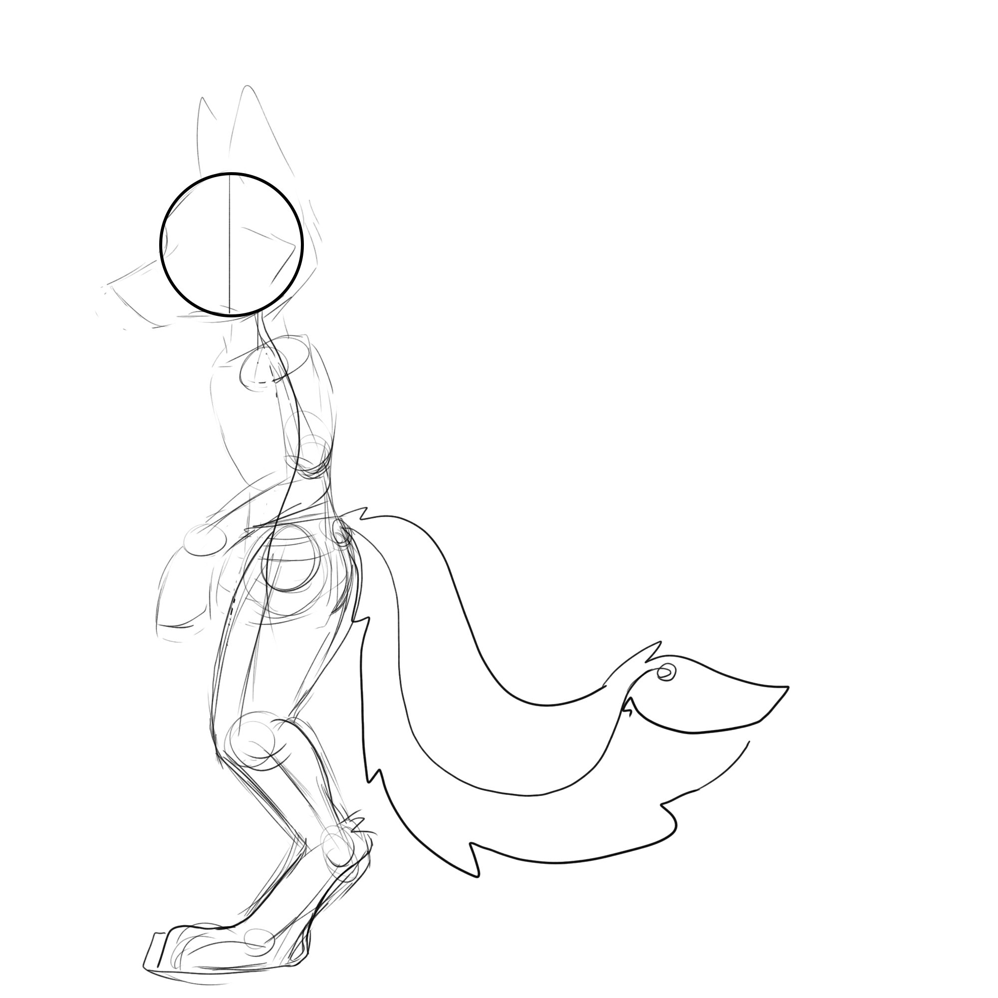 How To Draw A Wolf Tail