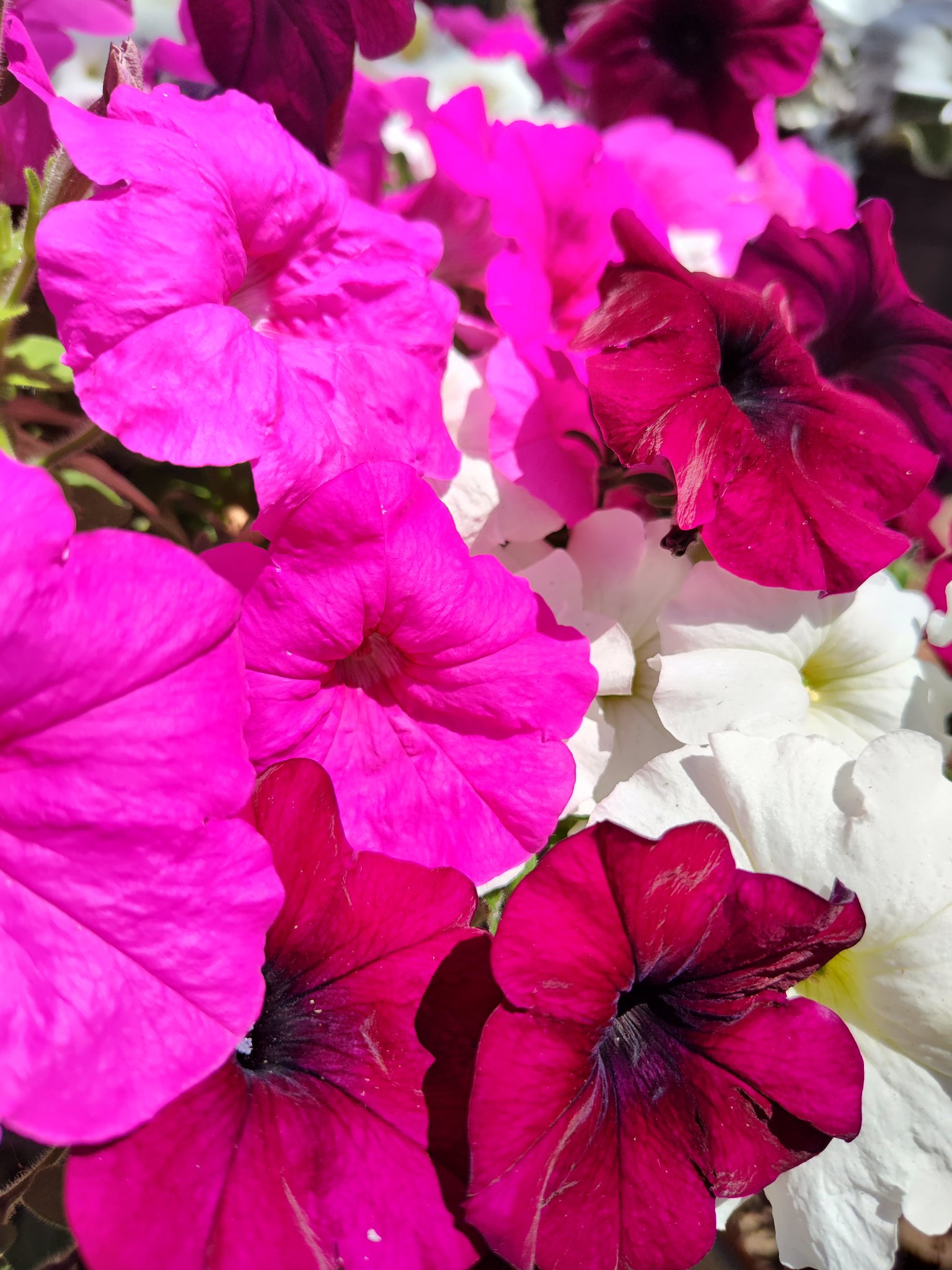 Hiro on Twitter: "Highlights from today https://t.co/js4vn2PYy0" / Twitter