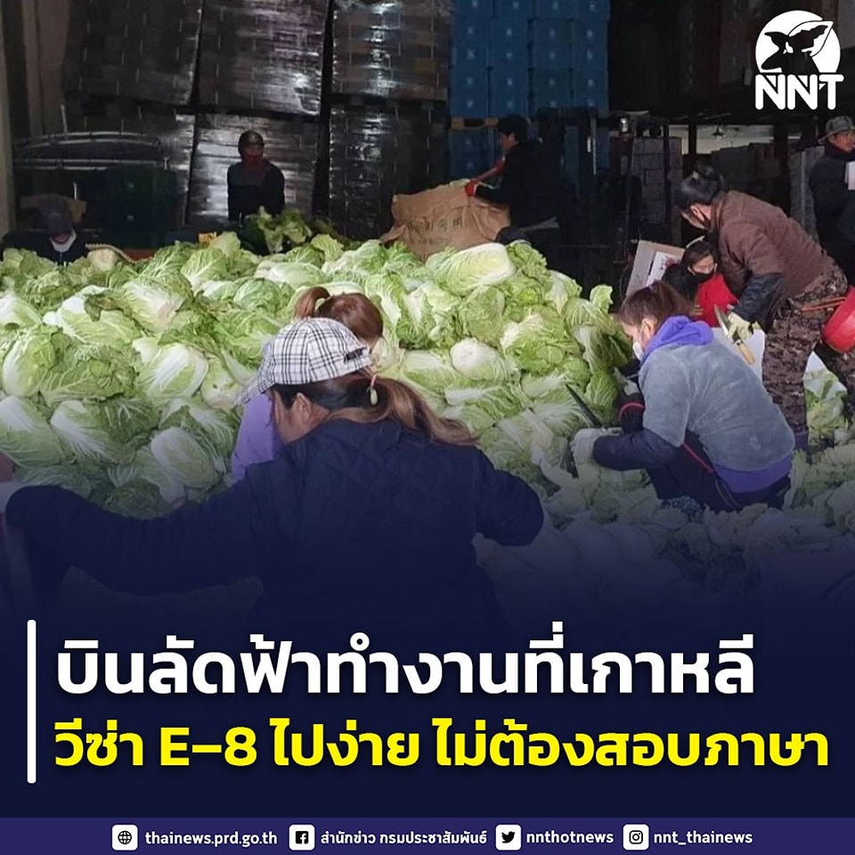 ศูนย์บริการข้อมูลภาครัฐเพื่อประชาชน (GCC1111) on Twitter: "กระทรวงแรงงาน มีกำหนดเยือนสาธารณรัฐ ...