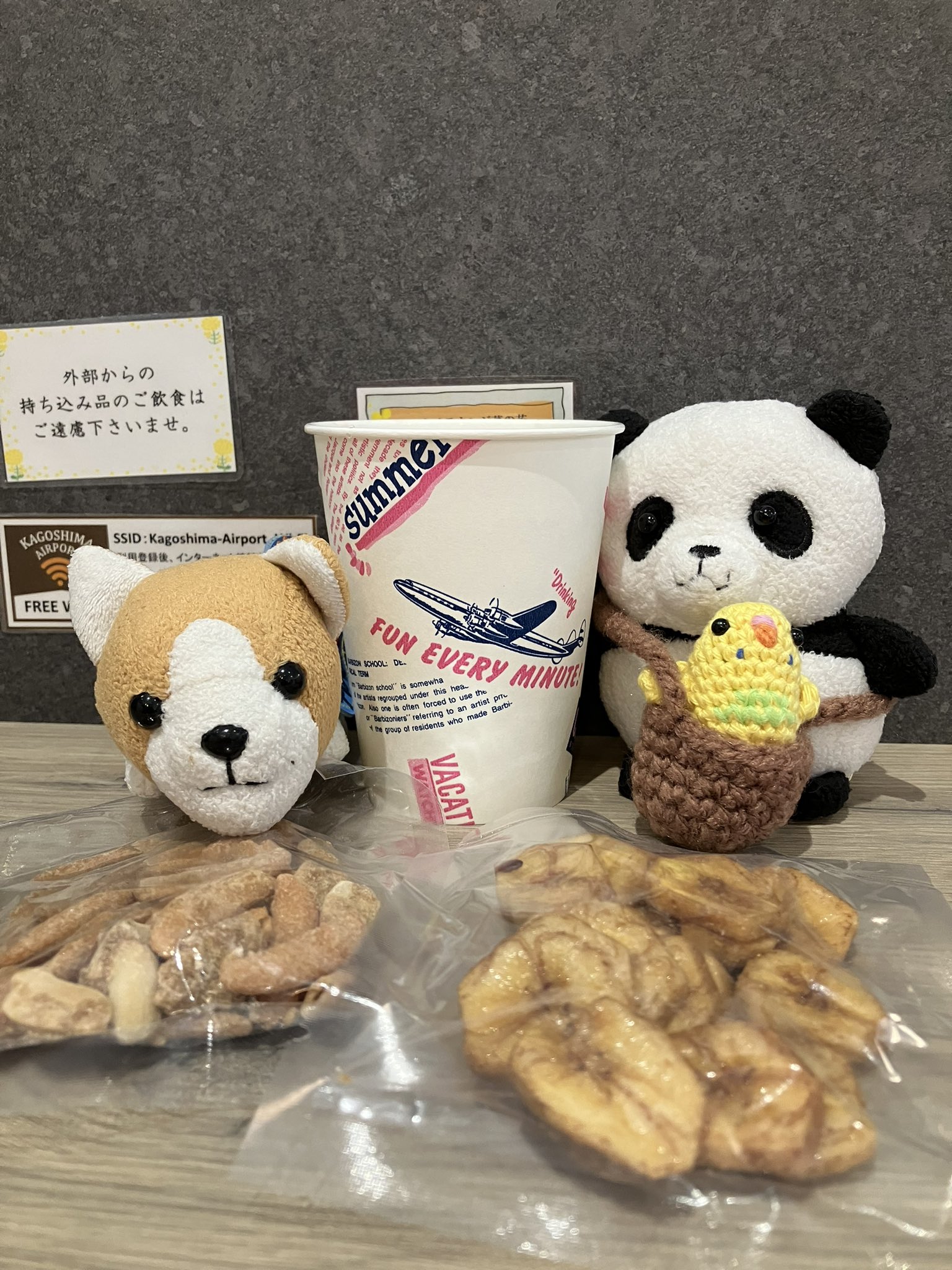 ともきち On Twitter あら、鹿児島ぢゃ Music Faireの 放送、今夜は無い んだ 録画予約済み 多分間に合うとは 思うけどね。 お昼過ぎの便で 帰りまーす ️