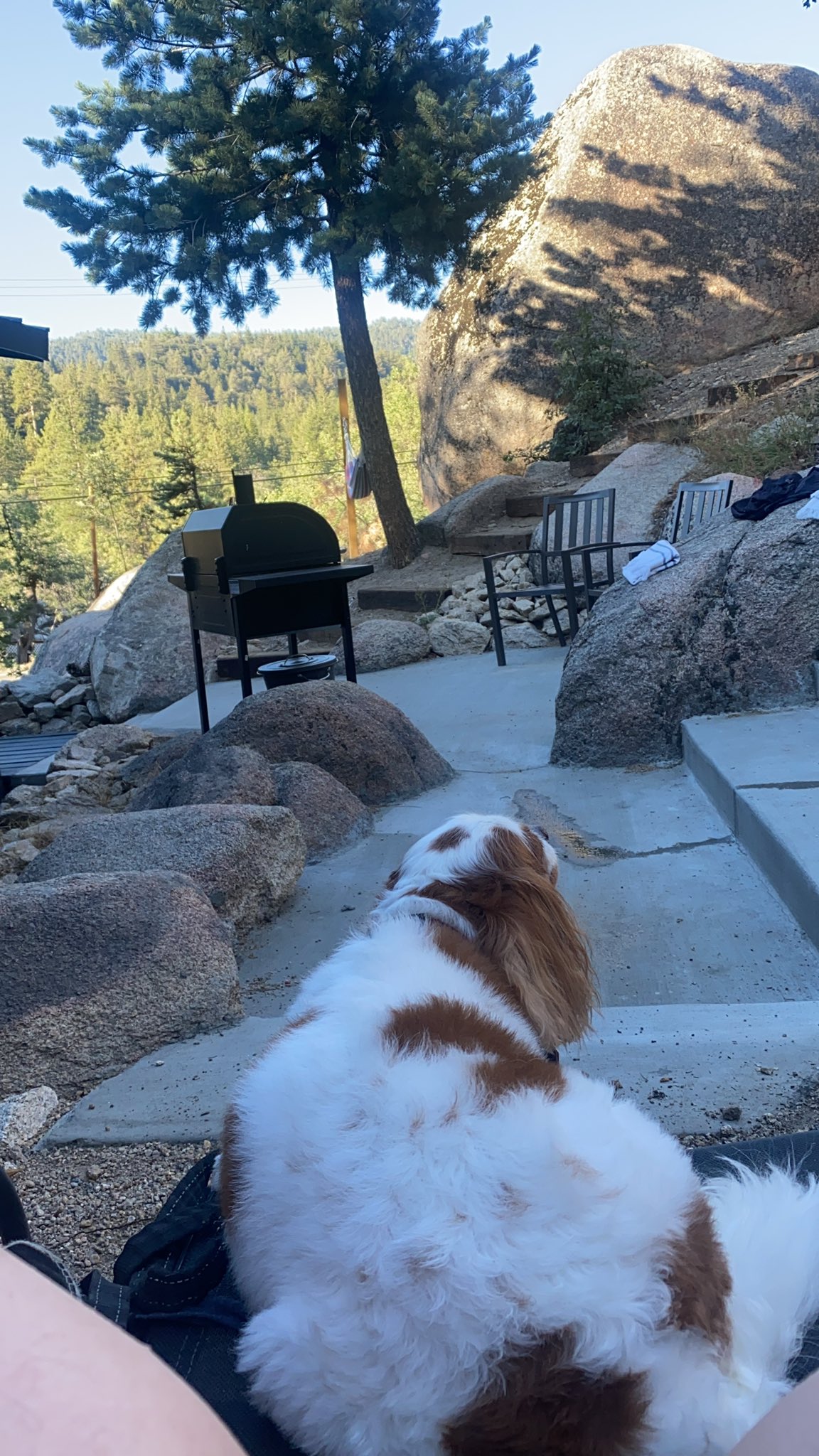 Coco Mcgarry on Twitter: "Reagan on our trip to big bear last year 😭😭😭 https://t.co/QhlWghFfk2 ...
