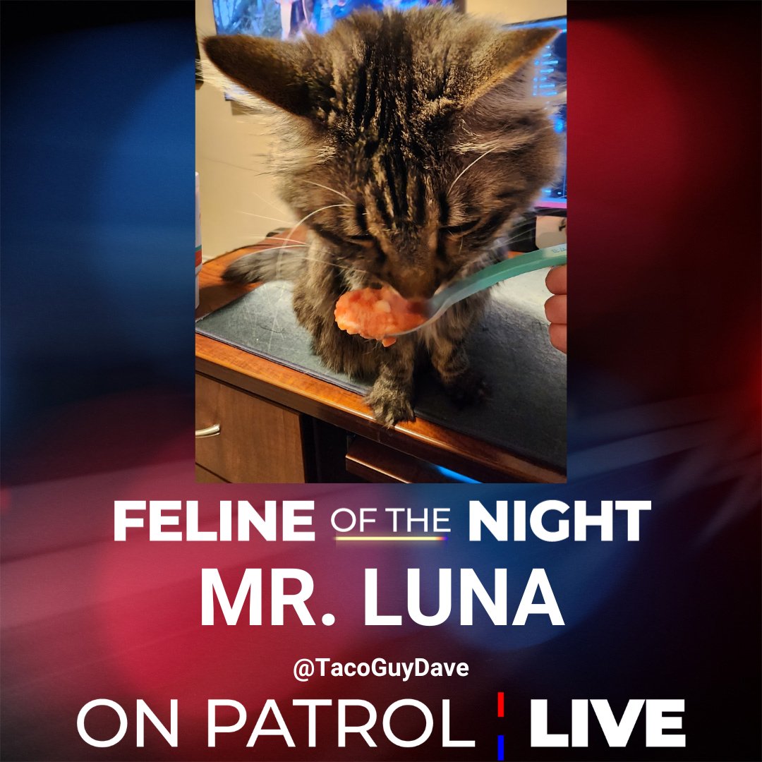 On Patrol: Live on Twitter: "#OPNation, tonight's #OPLive #FelineoftheNight is MR. LUNA ...