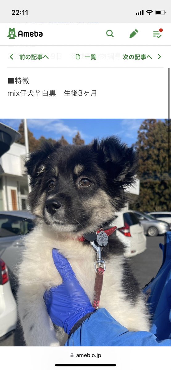 皆口裕子のプロフィール・画像・写真 | WEBザテレビジョン