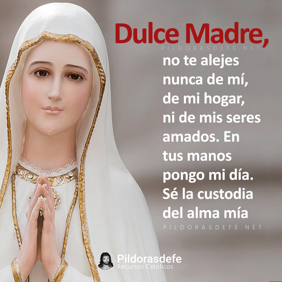 Pildorasdefe on Twitter: Pildorasdefe on Twitter: