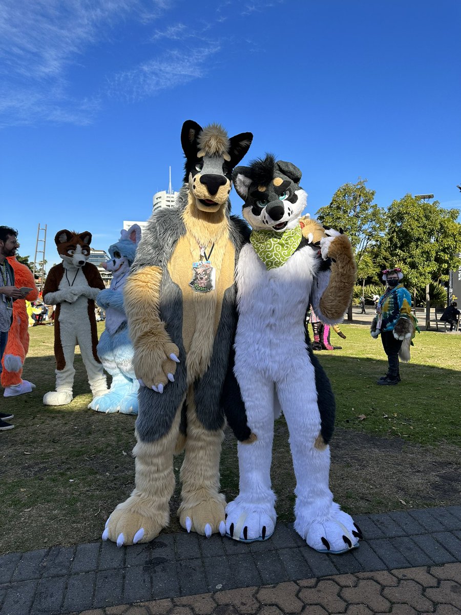 Marker on Twitter: "Had a blast on the fursuit walk today! Just a few of my favourite pics from ...