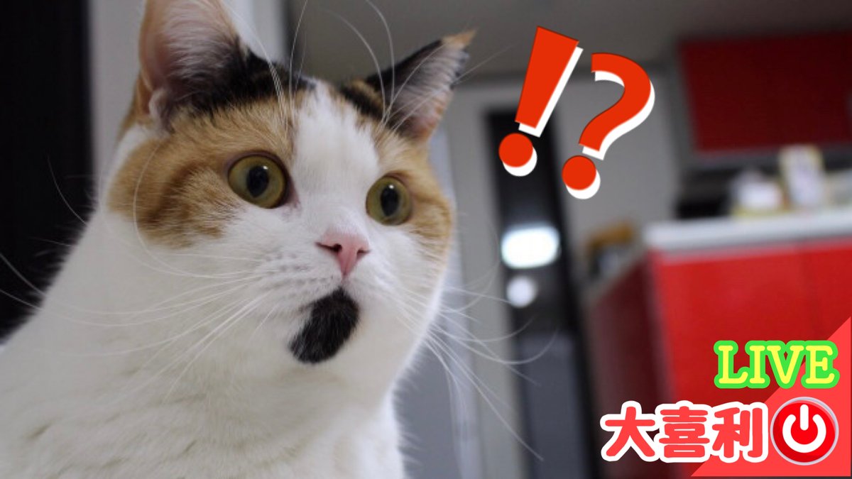 うぉんたんチャンネル On Twitter 今日のうぉんたん大喜利はこちらですにゃ🐈 21時からですにゃ🐾 【大喜利live】目は口ほどに