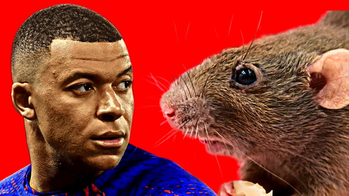 SrNaninho on Twitter: SrNaninho on Twitter: