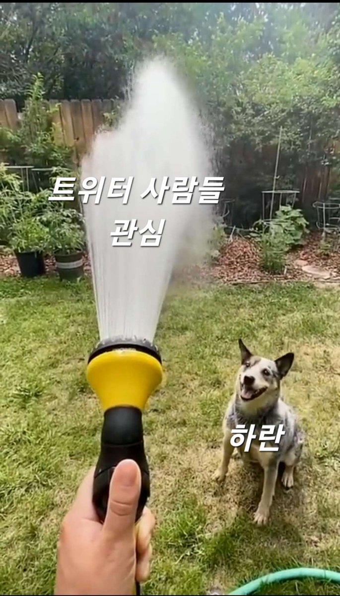 하 란 On Twitter 있잖아 나 관심 주면 좋아해 그러니까 관심 주라 내가 이렇게 기다릴게