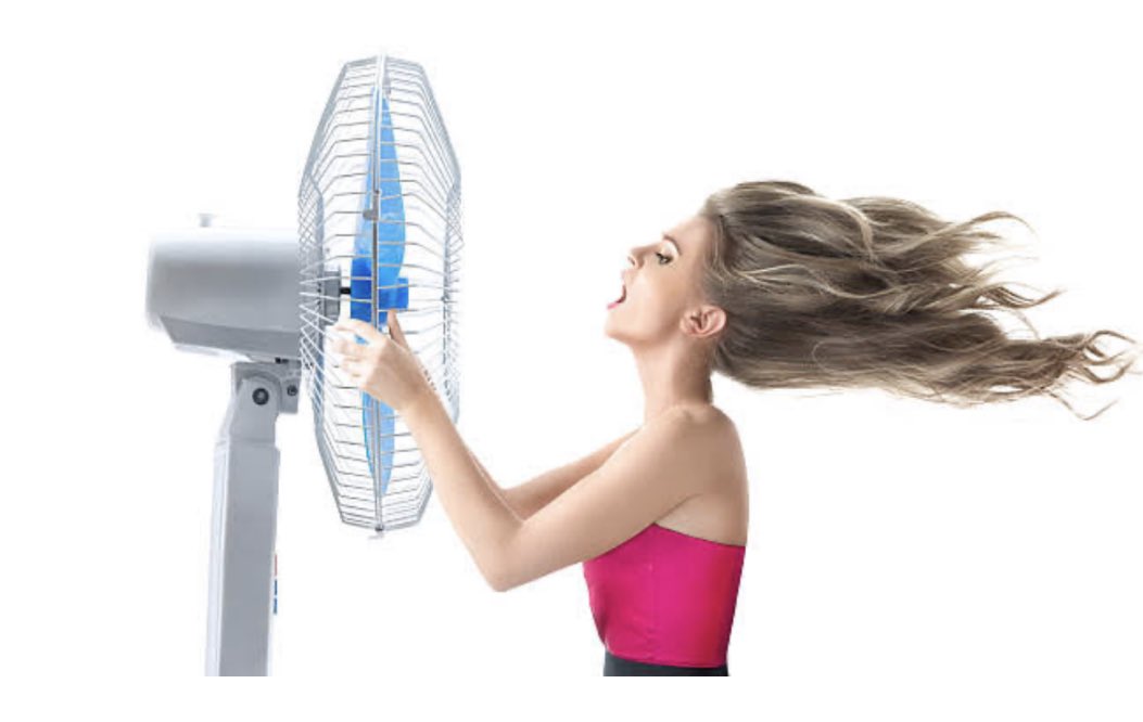 Thread by @carol_perelman on Thread Reader App – Thread Reader App