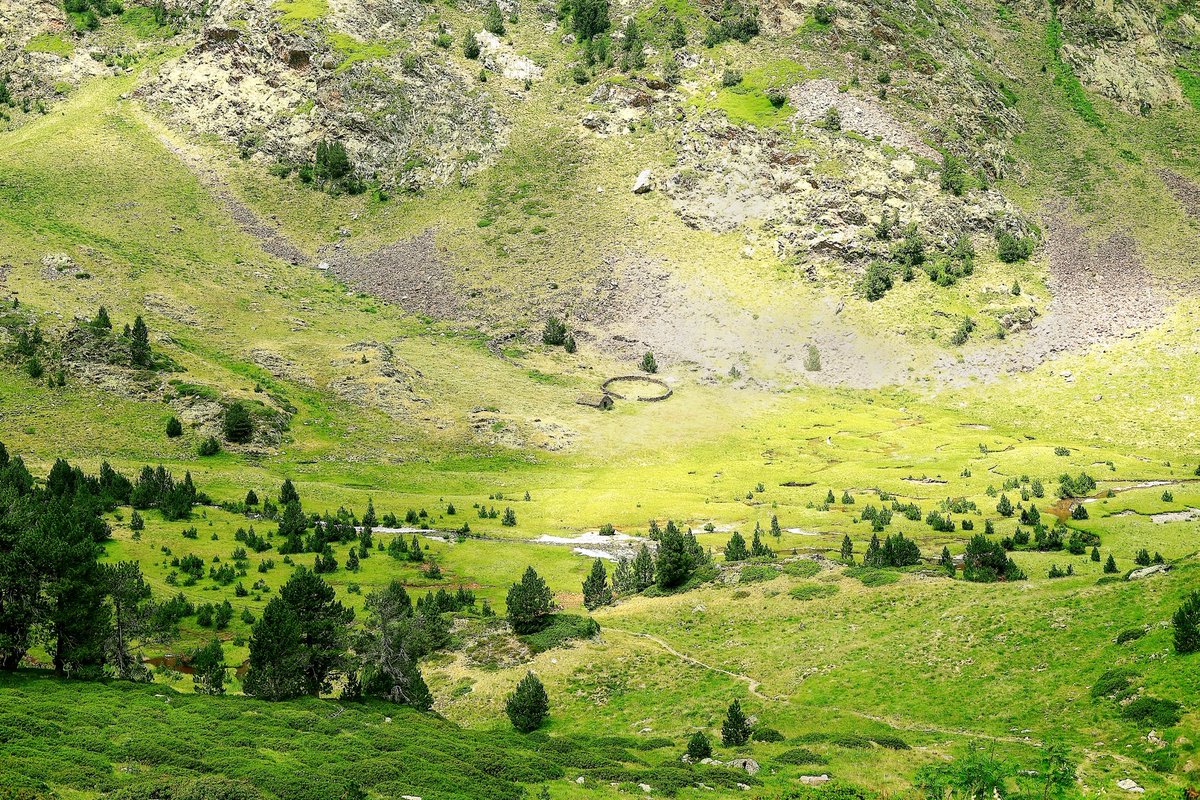 Micca on Twitter: "Safe Place is SOLD OUT 🔥 In only few hours! Thank you so much everyone, you ...