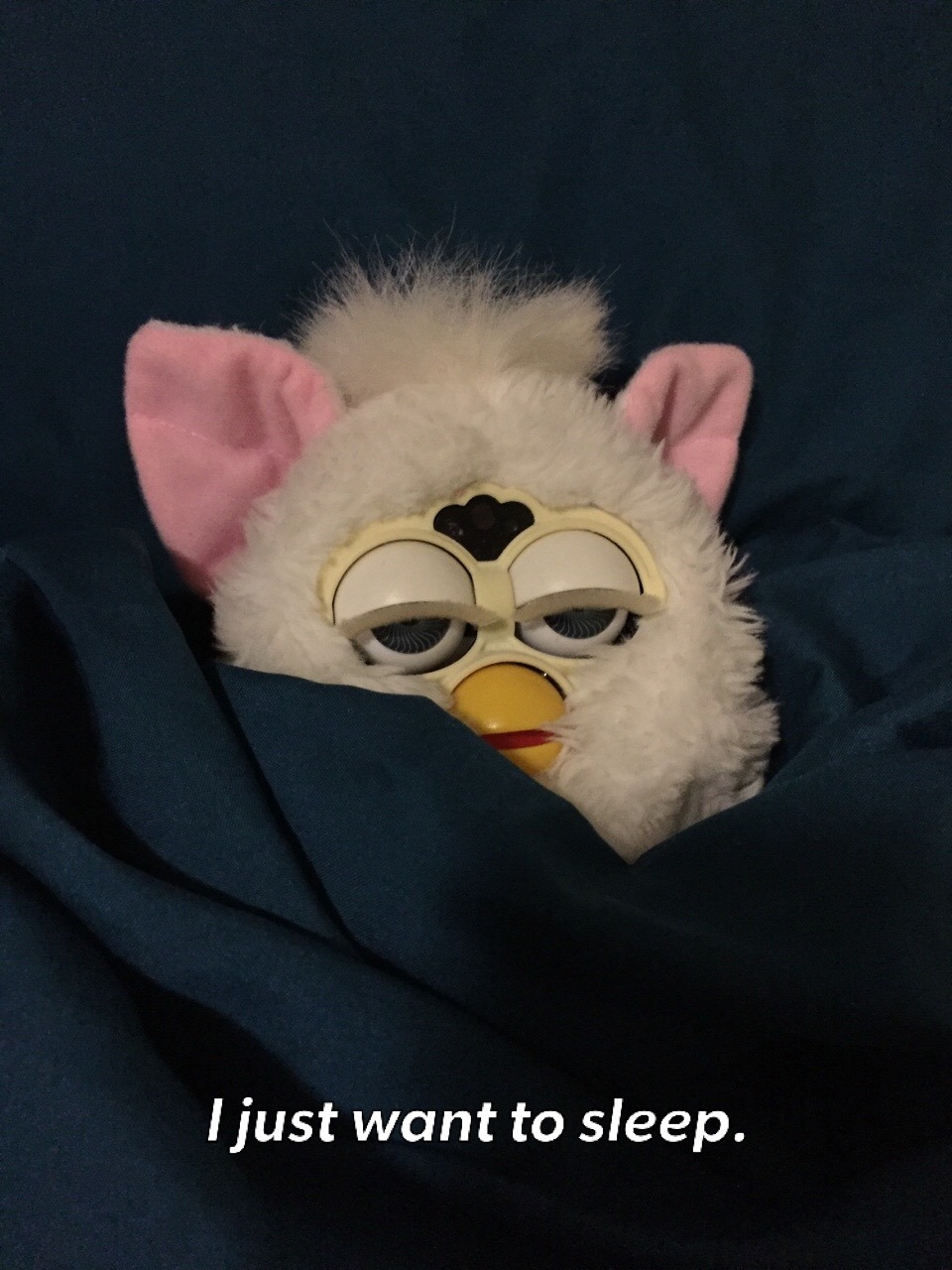 Furby Meme