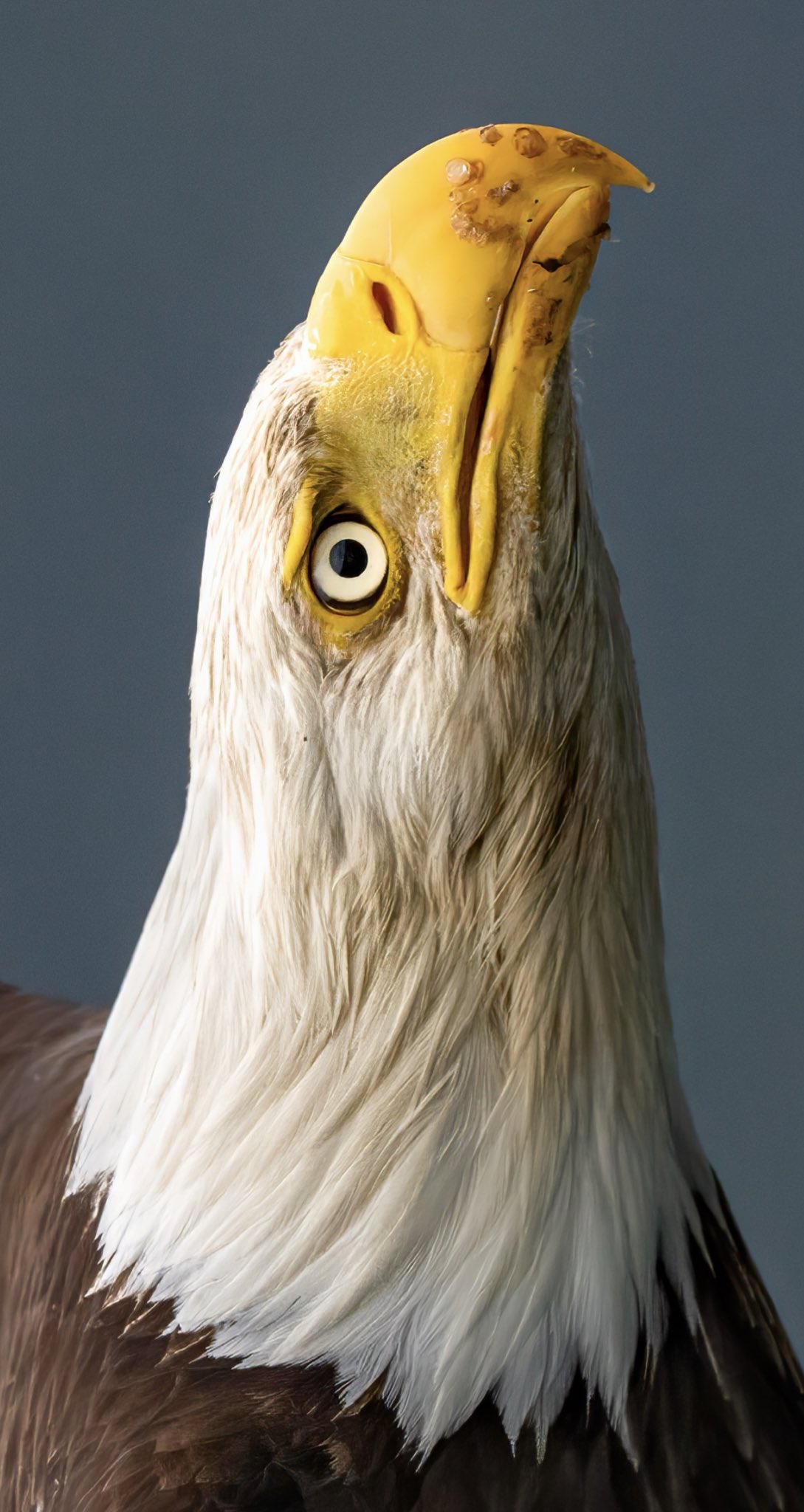 Mark Smith Photography on Twitter: "I think this might be the most highly detailed image I’ve ...