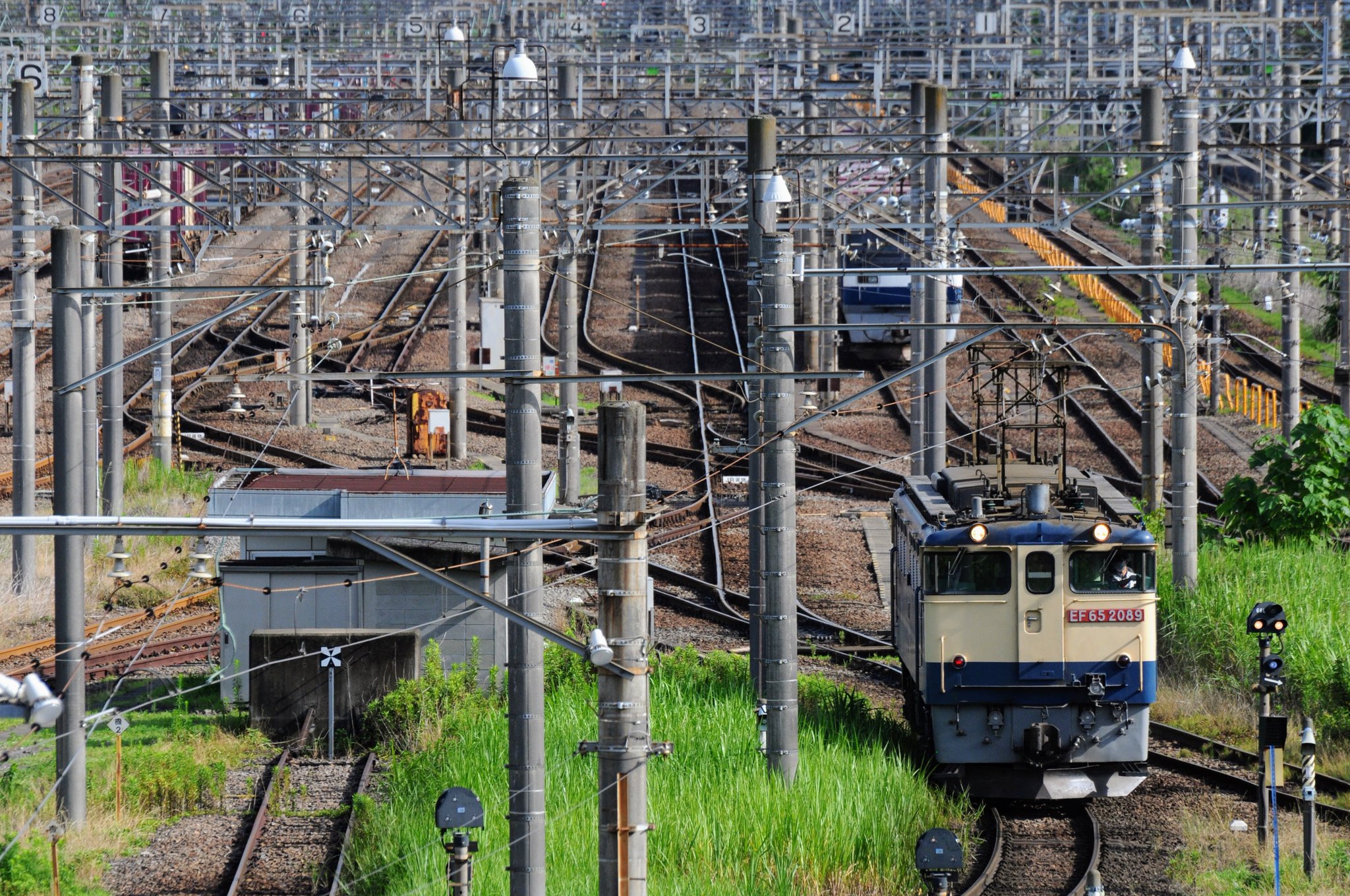 satoru_8888 on Twitter: "2023/07/02 5086レ～新鶴見機関区 EF65 2089 https://t.co/LqsEJ65fQT" / Twitter