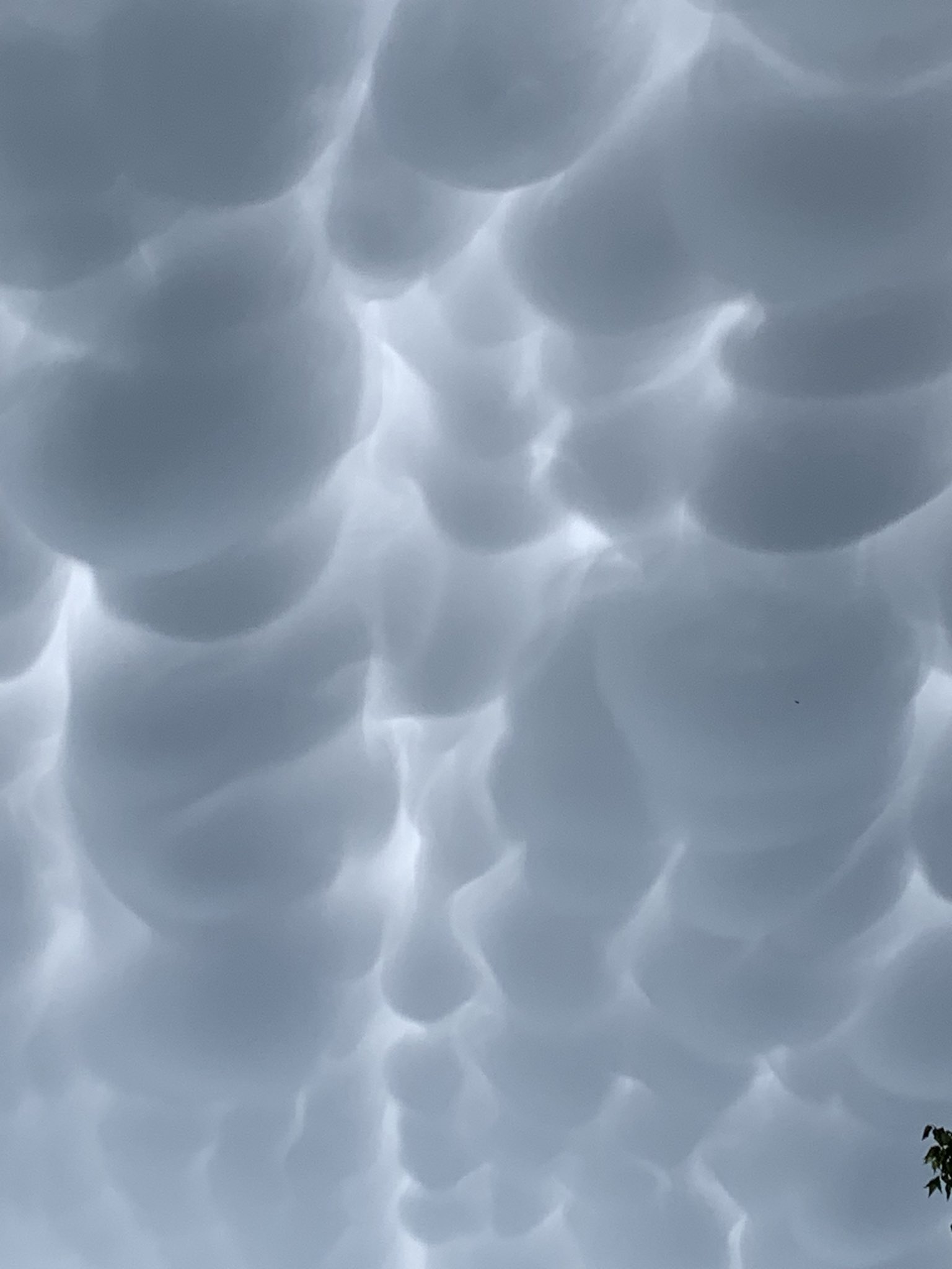 Reed Timmer, PhD on Twitter: "20 YEARS AGO TODAY we intercepted the Manchester, SD F4 #tornado ...