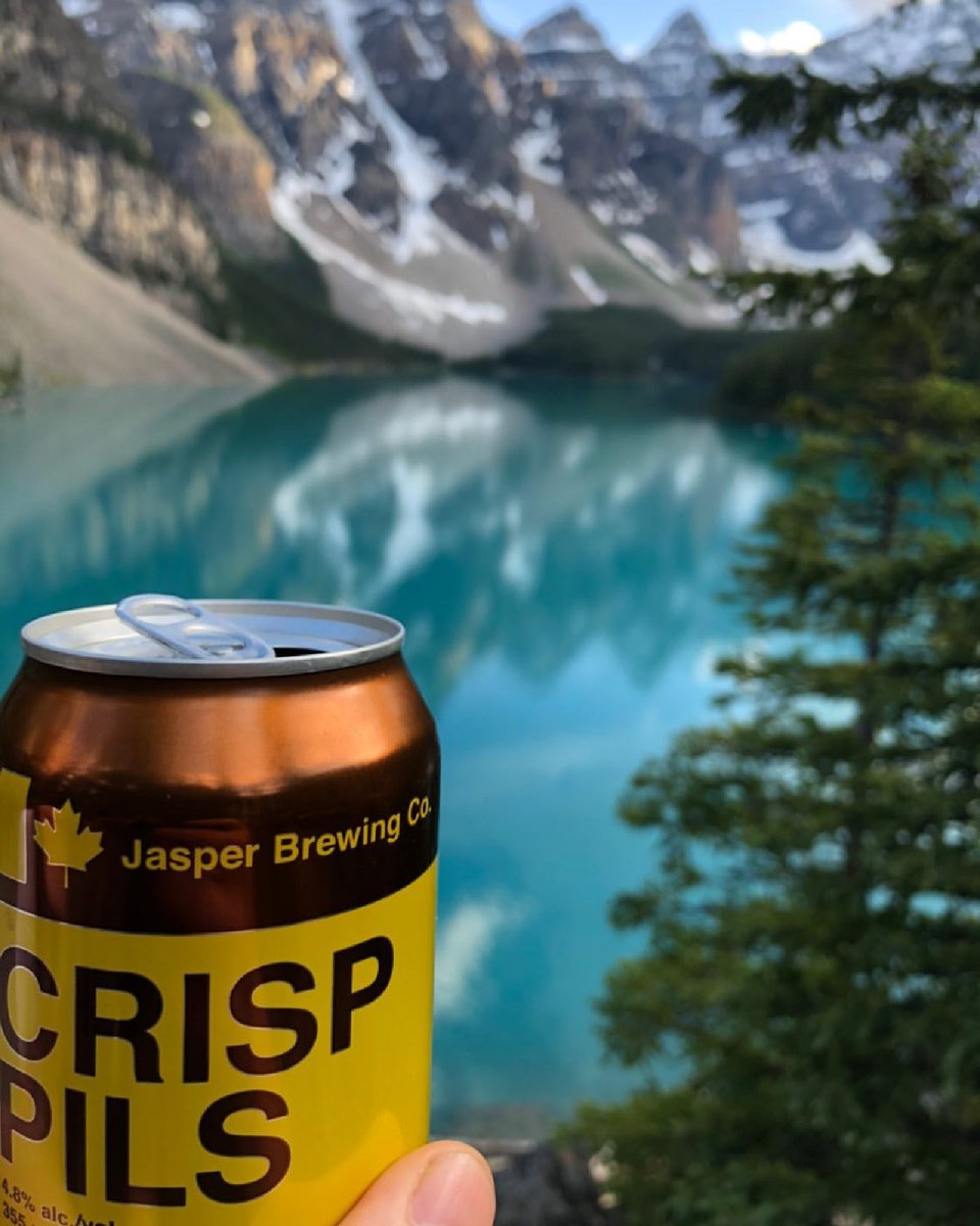 Jasper Brewing Co on Twitter: "Trail Session IPA, Jasper The Bear Ale or Crisp Pils? Let us know ...