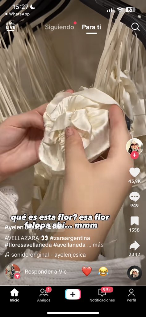 sofia on Twitter: "Por dios que es esto"