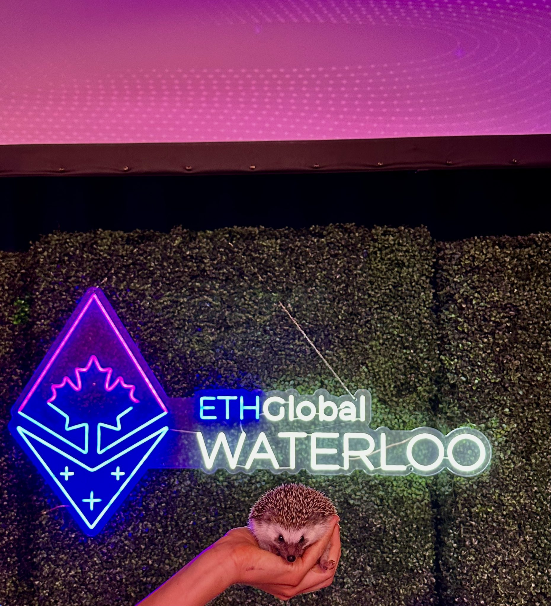 ETHGlobal on Twitter: "⏰ 4:30PM Workshops 🔆 Come and join @leo21_eth from @Sismo_eth for a ...