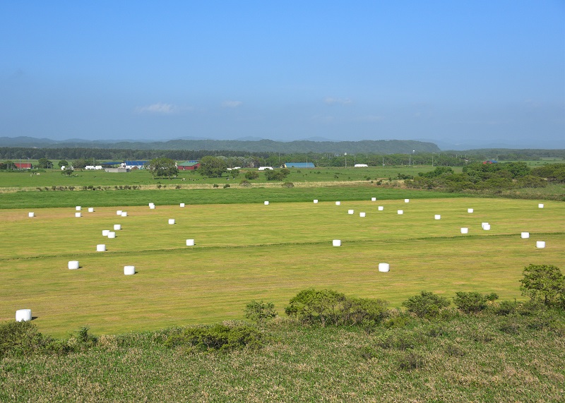 PREZO（プレゾ） on Twitter: "稚内の南に位置する #幌延町 サロベツ原野。#幌延ビジターセンター 向かい側に建つ、 高さ約25mの #幌延展望塔 (#幌延ビジターセンター展望 ...