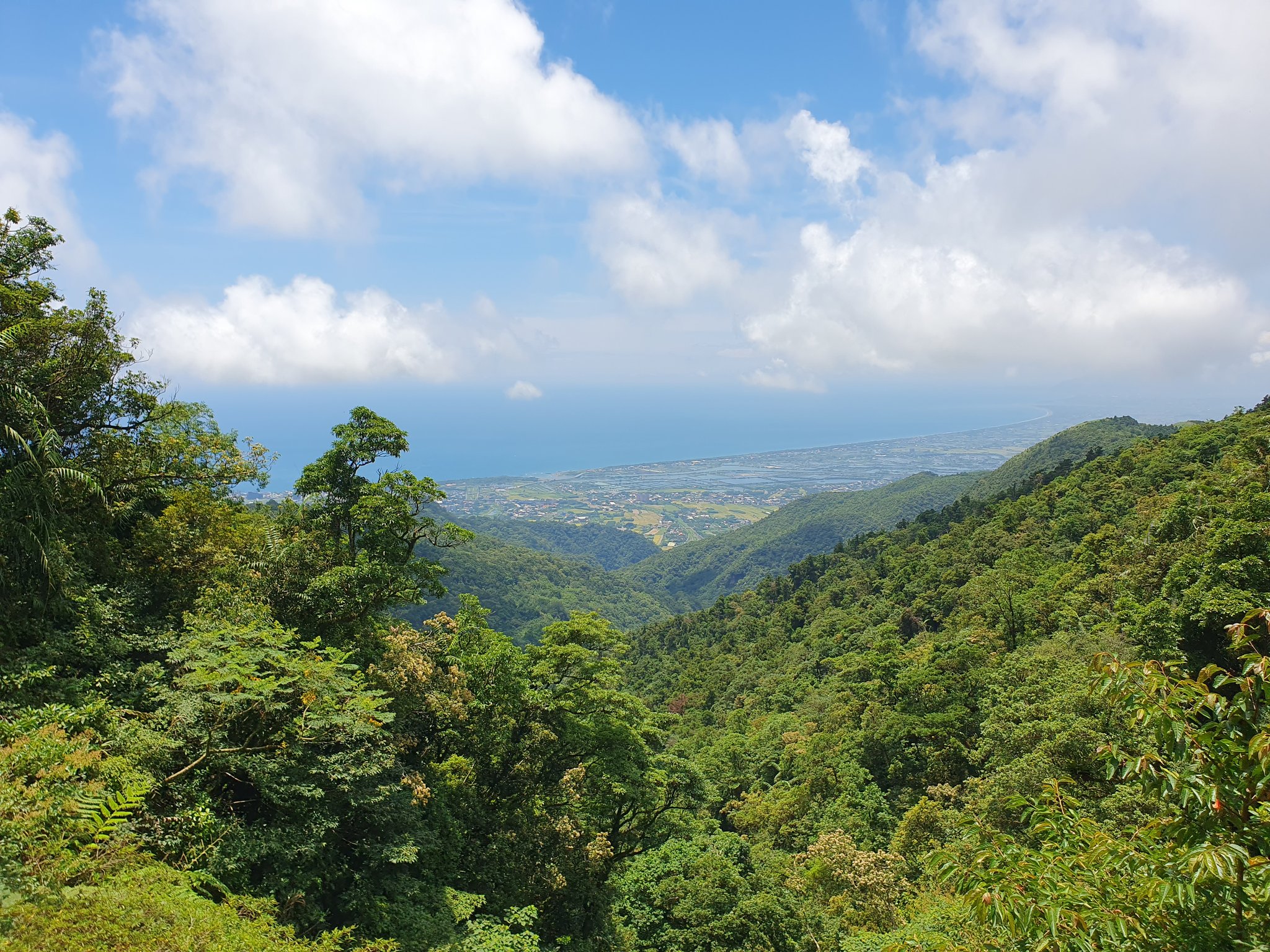 Hsuan-Pu Chen on Twitter: "2023.06.24 名古屋大の土岐先生と宜蘭で採集 とても楽しかった https://t.co/zLHUKHT1ch" / Twitter