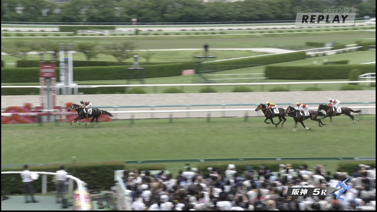 螺旋 on Twitter: "2023/06/25 阪神5R 馬単2頭裏表で的中🎯 (´-ω-`)マジか！！！ #JRA #宝塚記念"